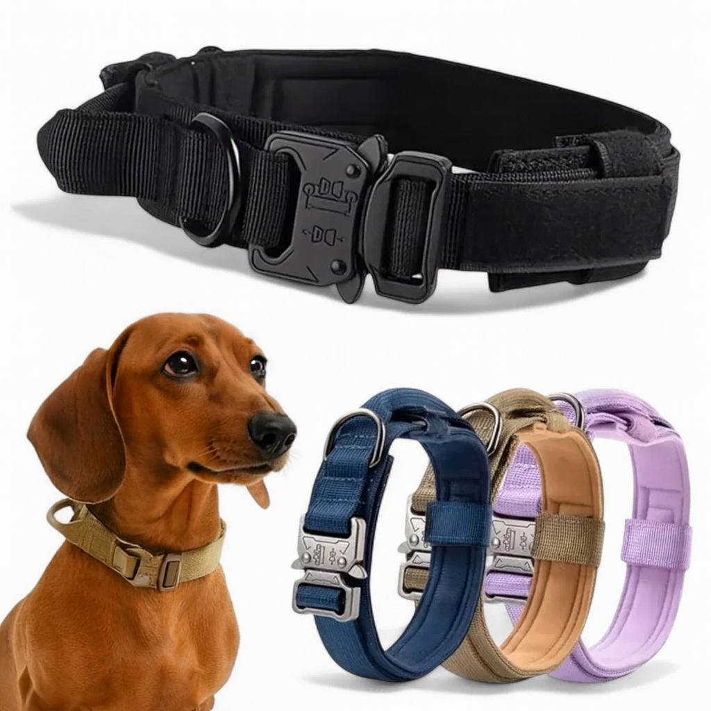 BarkOps Dachshund Tactical Collar – Heavy-Duty Outdoor Training Collar ...
