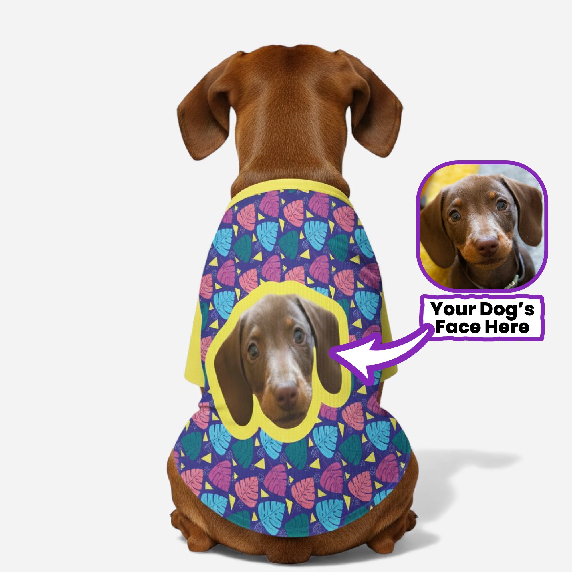 Kirby - Personalized Wool Sweater for Doxie – Dachshund Shop
