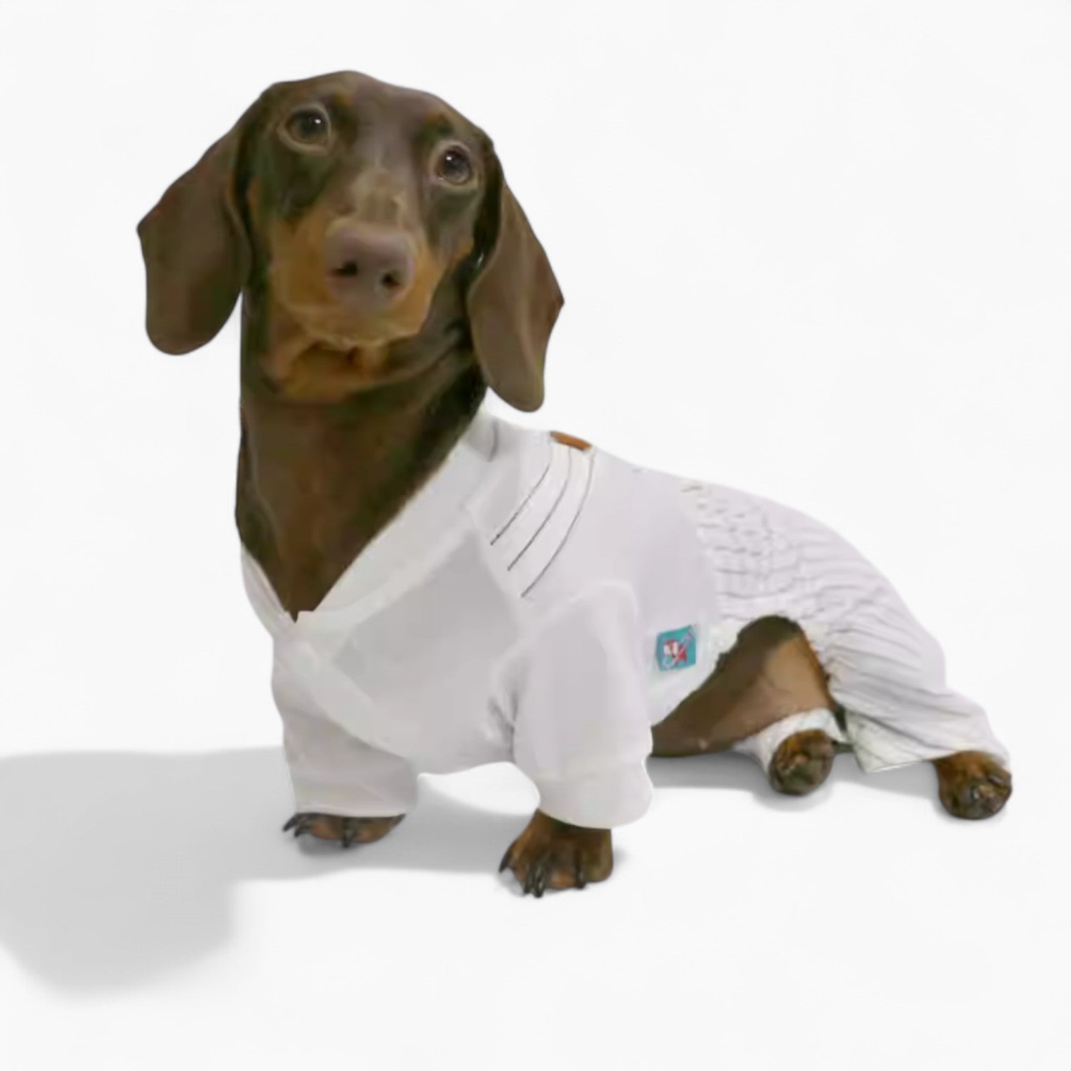 Clothes for Dachshunds | Sweaters & Coats for Doxies – Page 3 ...