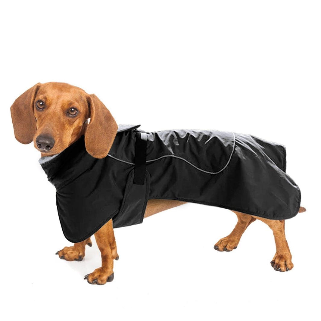 Clothes for Dachshunds – Dachshund Shop