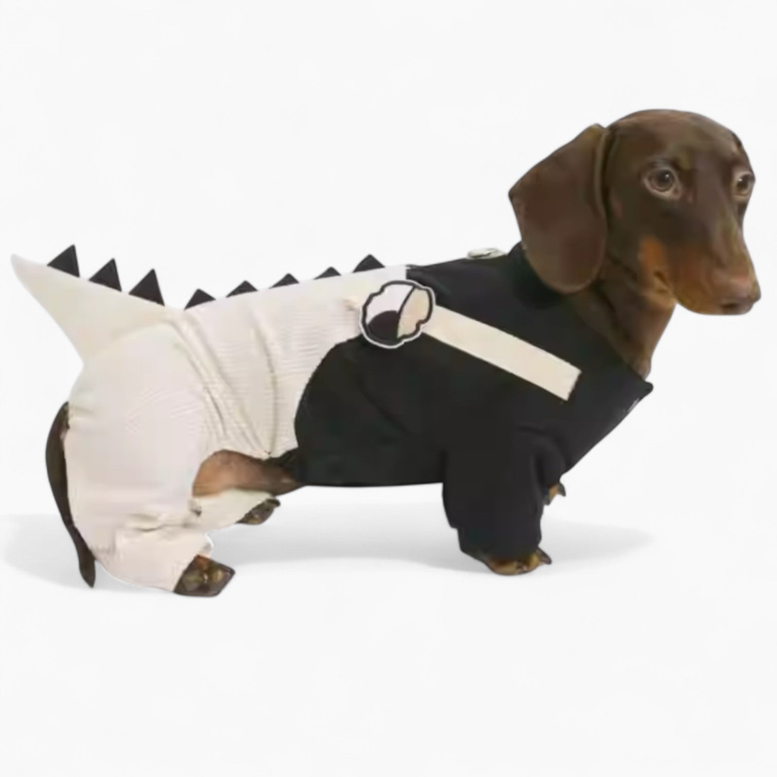 DinoDox Dachshund Thin Dinosaur Outfit – Lightweight 4-Legged Cozy Cos ...