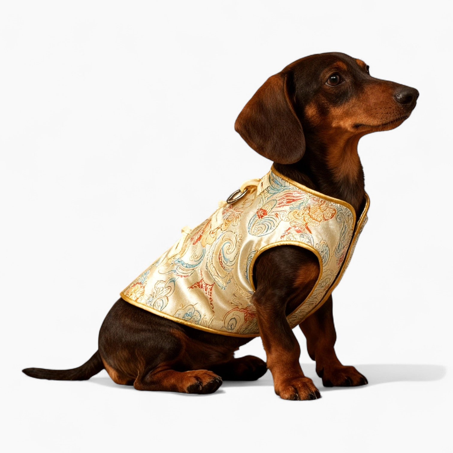 Clothes for Dachshunds | Sweaters & Coats for Doxies – Page 2 ...