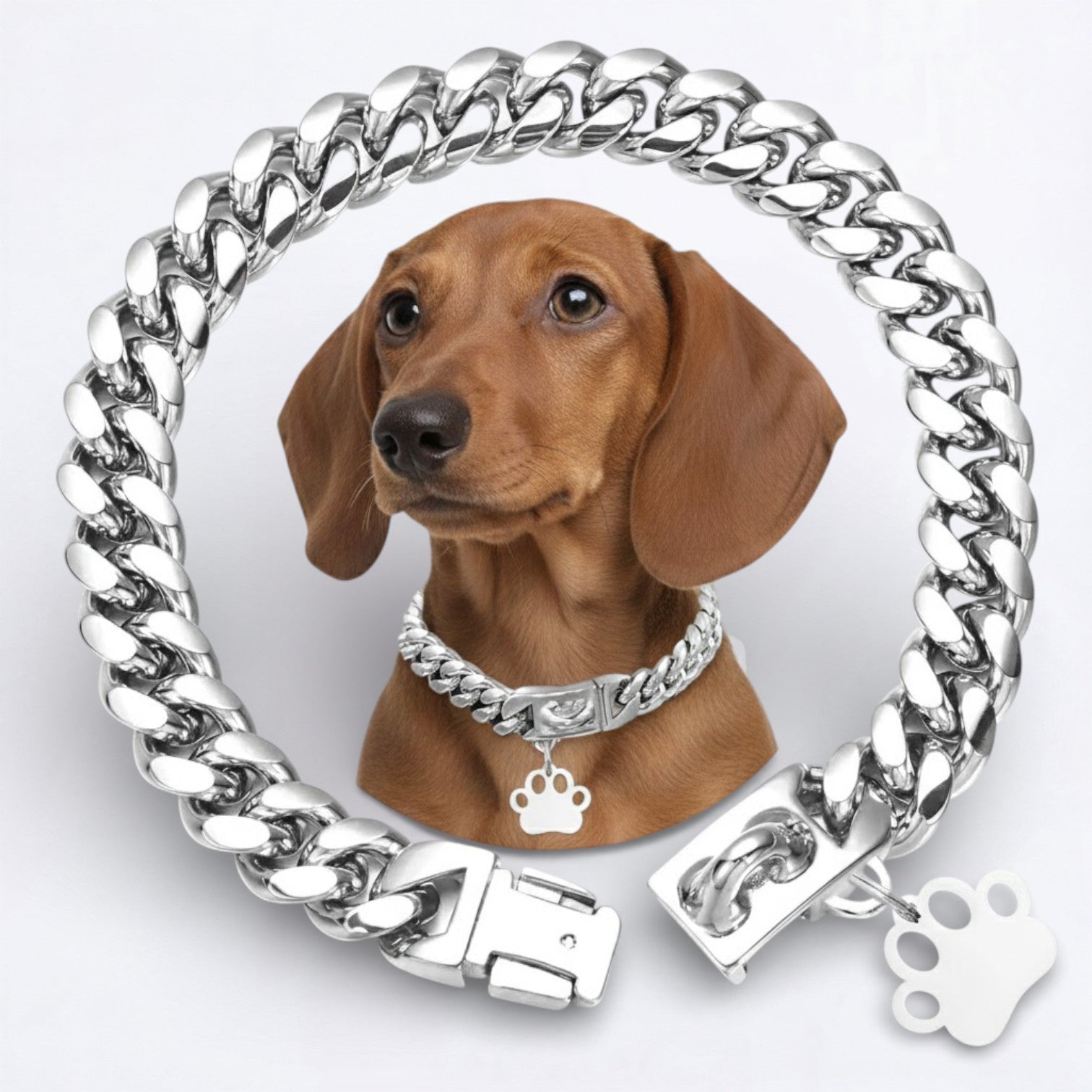 LuxePaw Dachshund Cuban Collar – Stainless Steel Dog Collar with Buckl ...