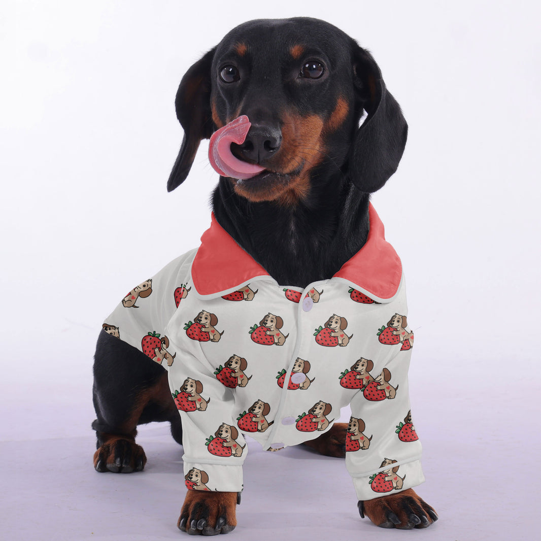 Pajamas for dachshunds – Dachshund Shop