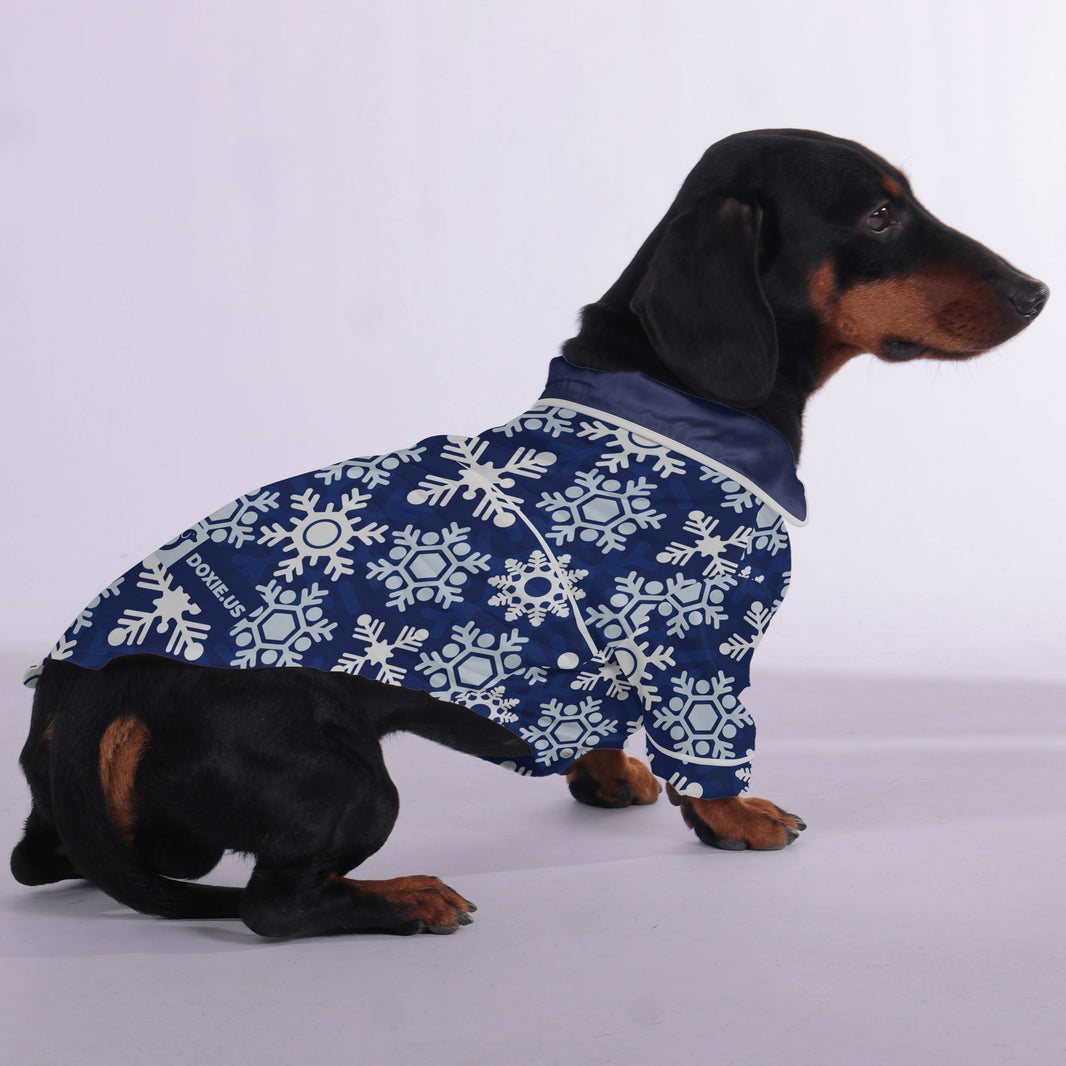 Pajamas for dachshunds – Dachshund Shop