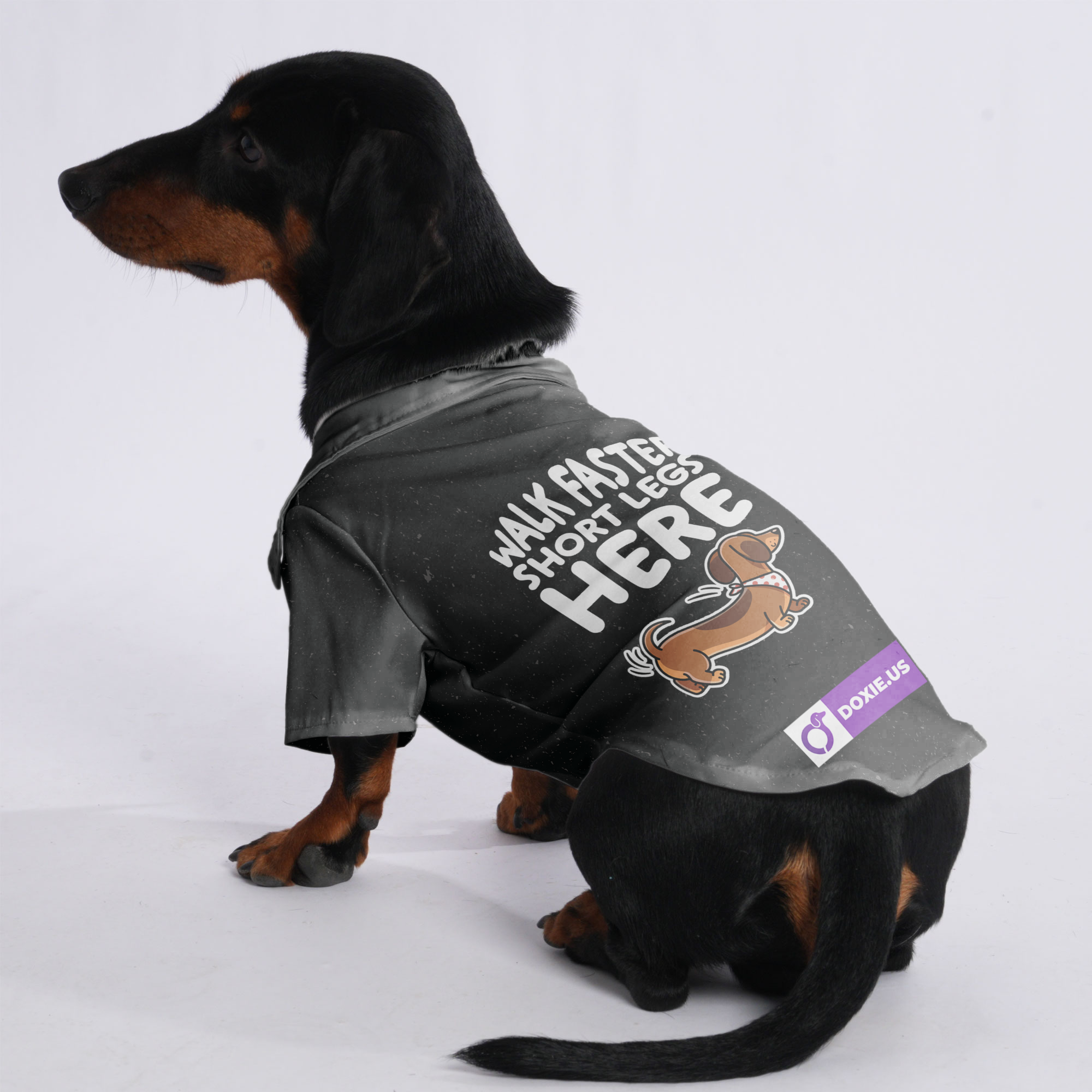 Walk faster, short legs here - Hawaiian Shirt for Doxies – Dachshund Shop