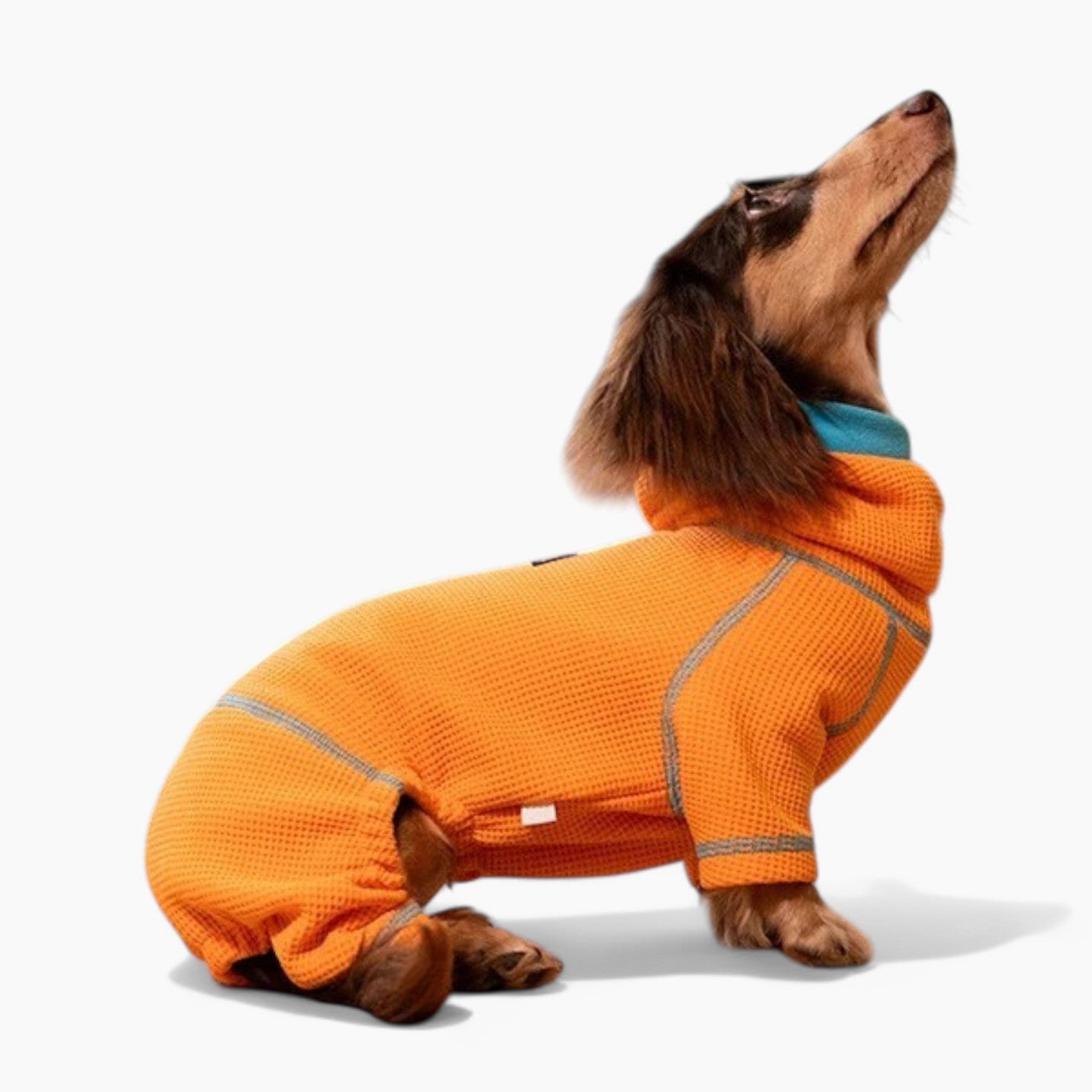 Clothes for Dachshunds | Sweaters & Coats for Doxies – Page 32 ...