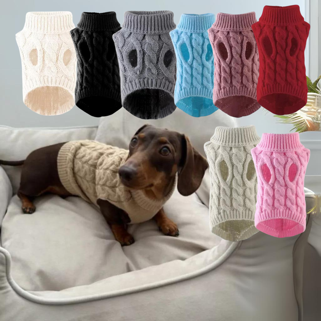 Clothes for Dachshunds – Page 4 – Dachshund Shop