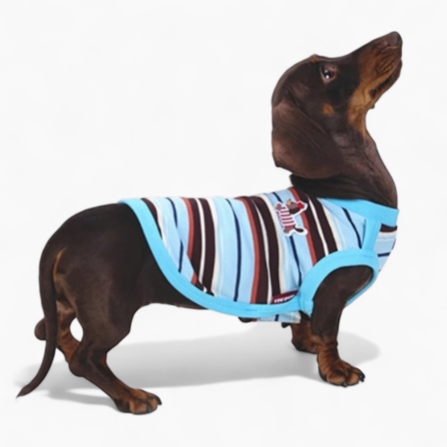 StripiCub Dachshund Summer Vest – Lightweight Striped Cool Shirt with ...
