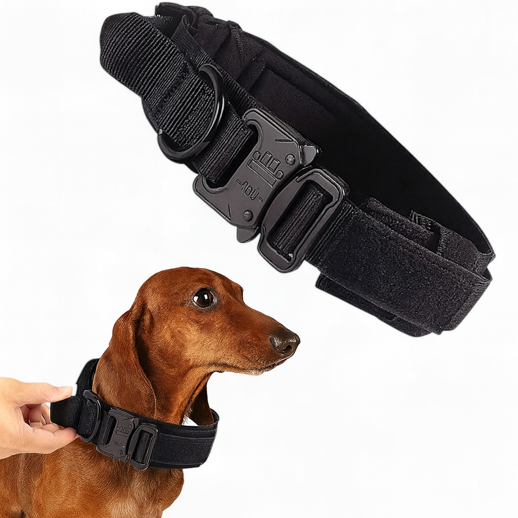 TactiPup™ Dachshund Tactical Collar Leash - Heavy-Duty Adjustable Dog ...