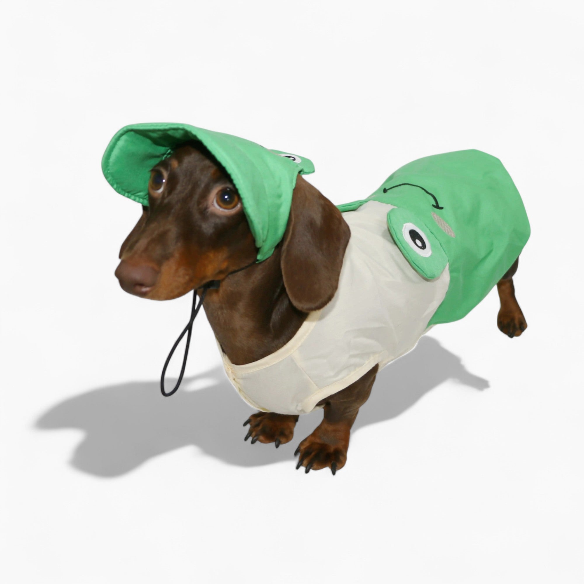 ToadFit Dachshund Summer Suit – Lightweight Breathable Frog Costume wi ...