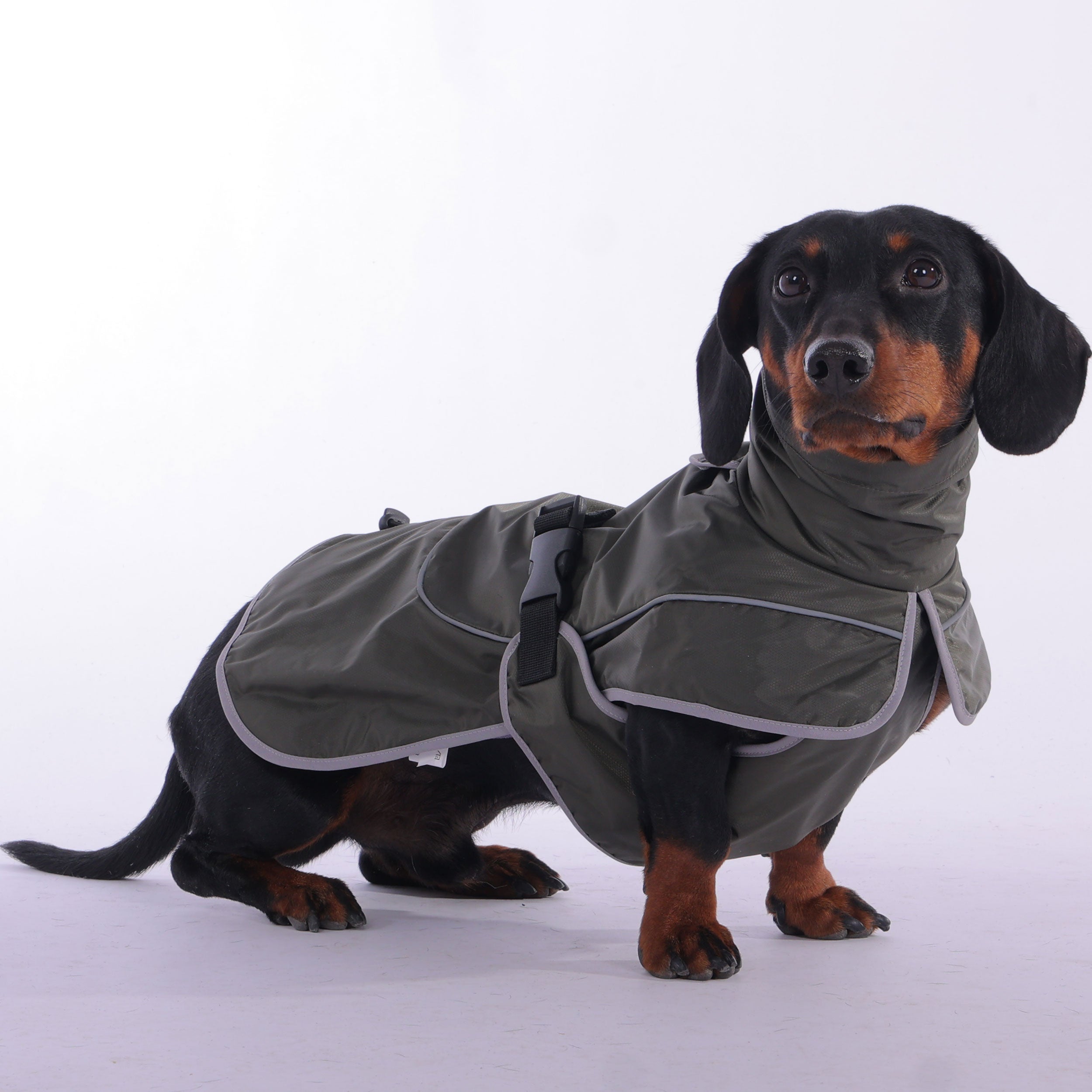 PupProof Dachshund Winter Jacket - Ultimate Warmth and Rain Protection ...
